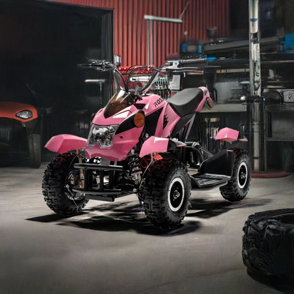 Minitron (eQuadS) – micperformance