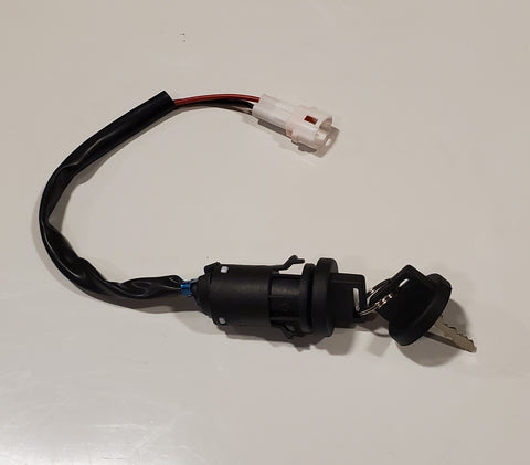 Juventus Ignition Key – micperformance